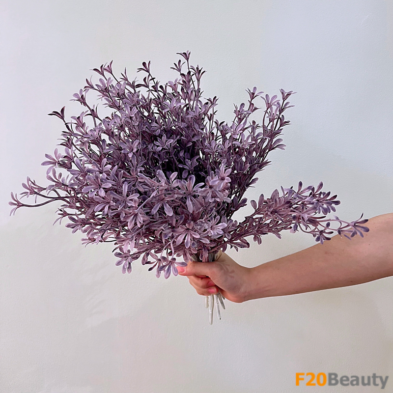 Hoa lan Moraka màu tím